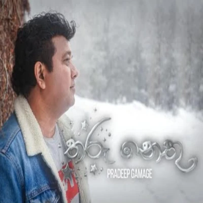 Tharu Nethu - Pradeep Gamage Mp3 Download